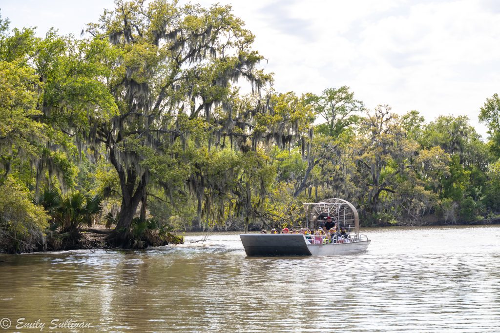 5 Reasons a Swamp Tour is the Best Way to Experience New Orleans ...